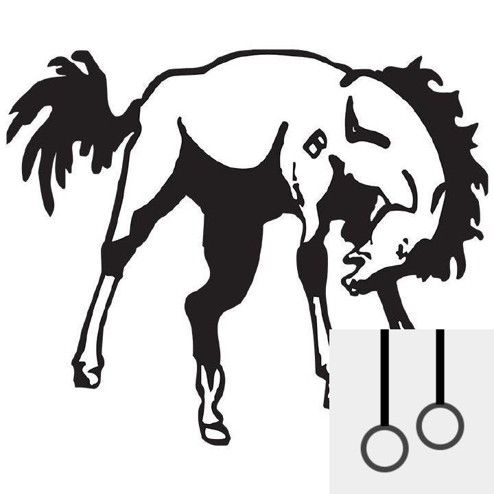 Billings Skyview High School Sports | 406MTSports