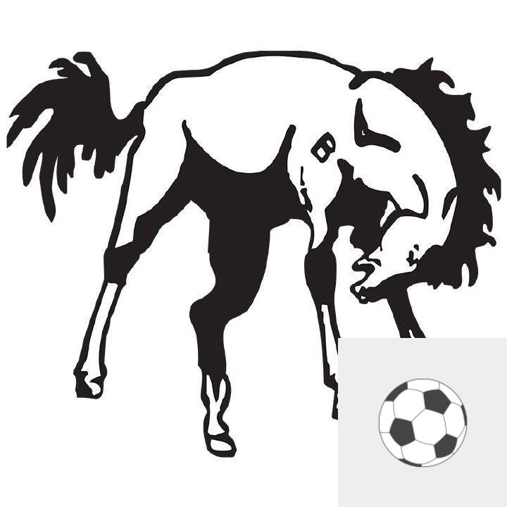 Billings Skyview High School Sports | 406MTSports